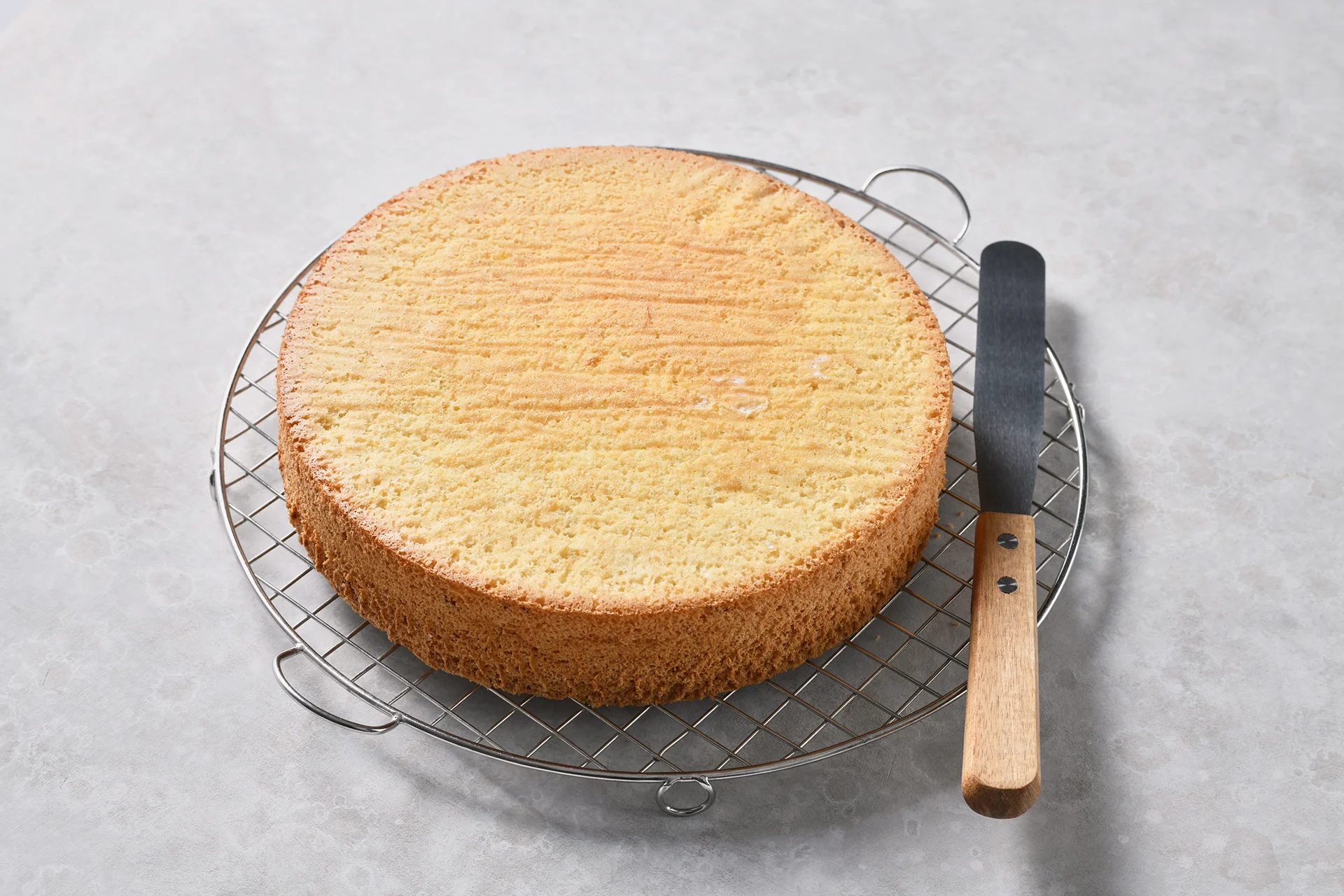 Biskuit - Tiptopf Rezept